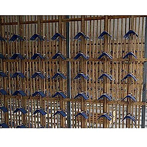 RP PIGEON Perches Dove Rest Stand Pigeons Rest Stand Bird Perches Durable Plastic Roost Racing Pigeon 5pc,blue
