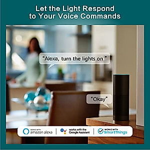 TREATLIFE Smart Switch 4 Pack, 2.4Ghz Smart Light Switch WiFi Light Switch Single-Pole, Neutral Wire Required, Works with Alexa, Google Home and SmartThings, Smart Home Remote Control, FCC/ETL Listed