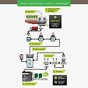 Samsill Plant Based Durable 2 Inch 3 Ring Binders, Made in The USA, Fashion Clear View Binders, Up to 25% Plant Based Plastic, Assorted 4 Pack (MP48669)