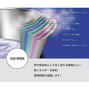 Miyazaki Seisakusho Kitchen Supplies/Dishes Frying Two-Handed pan, 20cm, Clear