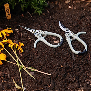 Modern Sprout Gardening Pruners, Lightweight, Durable, Green, One Size