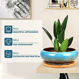 ERINGOGO 7 inches Succulent Pots, Ceramic Flower Planter Pot with Drainage and Tray, Round Shallow Bonsai Bowl Drip Planter for Small Indoor Plants