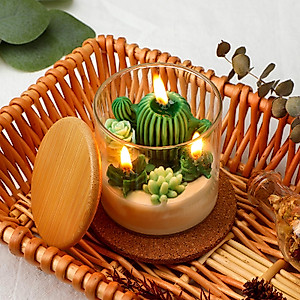 Tondiamo Succulent Cactus Candles Gift, 3.15 inch Scented Decorative Cactus Candles Terrarium Plant Candles Votive Candles for House Warming Wedding Baby Shower Spa Home Decoration Christmas Gifts
