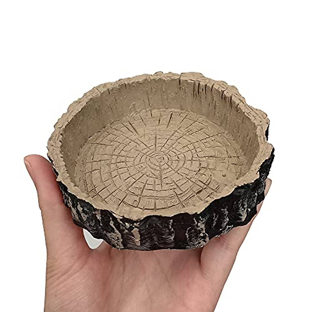 Reptile Water Dish Feeder Bowl Pet Feeding Tray Environmentally Friendly Resin for Tortoise, Gecko, Turtle, Snake, Lizard, Spider, Chameleon