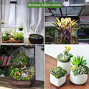 Yekavo Aquarium Light, Full Spectrum LED Fish Tank Grow Light with Timer, 5W Plants Terrarium Light with Metal Stand, for Betta Fish Bowl, Reptile Terrarium, Plant Landscape Tank, Potted Plants