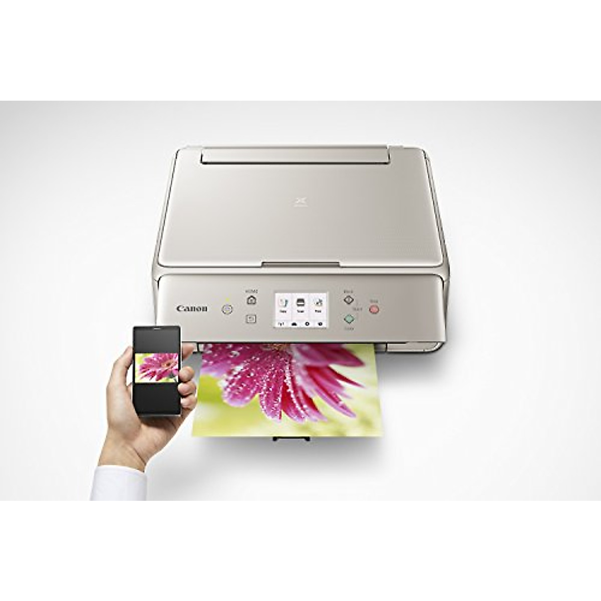 Canon Office Products PIXMA TS6020 GY Wireless Color Photo Printer with Scanner & Copier, Gray, Works for Alexa