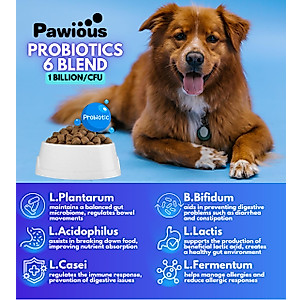 Probiotics for Dogs - Digestive Enzymes Gut Flora, Digestive Health, Immune System - Diarrhea Support, Itchy Skin, Allergies - Pumpkin, Flaxseed Meal, Papaya Powder - Probiotic Chews for Dogs