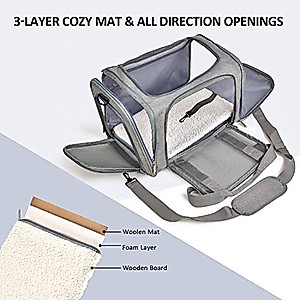 Henkelion Cat, Dog Carrier for Small Medium Cats Puppies up to 15 Lbs, TSA Airline Approved Carrier Soft Sided, Collapsible Travel Puppy Carrier - Grey