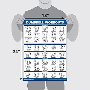 11 Pack - Exercise Poster Set: Dumbbell, Suspension, Kettlebell, Resistance Bands, Stretching, Bodyweight, Barbell, Yoga, Exercise Ball, Muscular System, Medicine Ball (LAMINATED, 18" x 24")