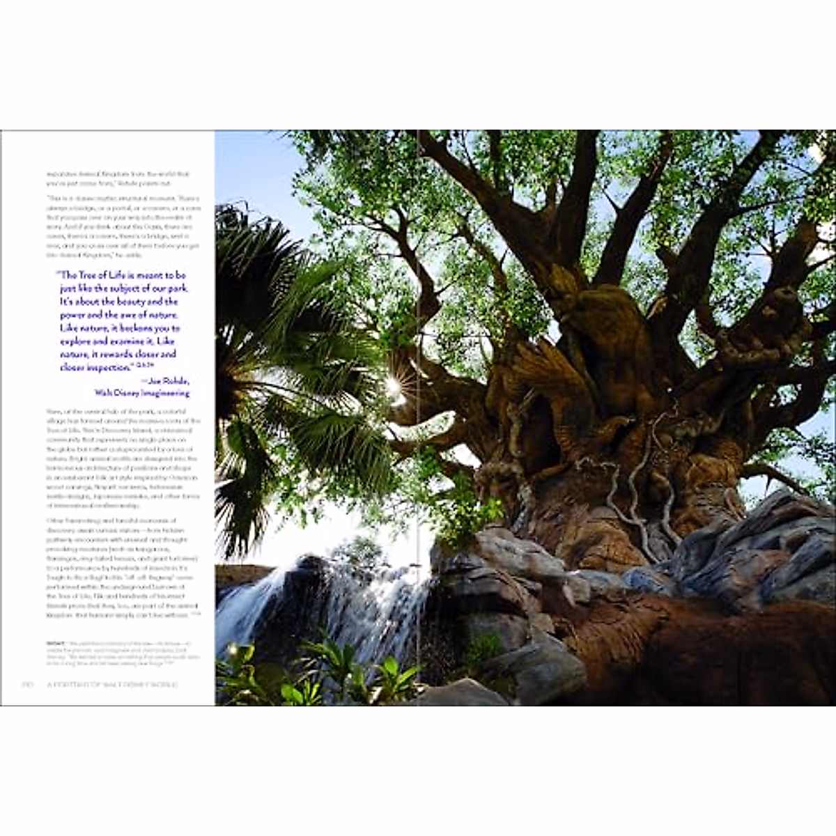 A Portrait of Walt Disney World: 50 Years of The Most Magical Place on Earth (Disney Editions Deluxe)