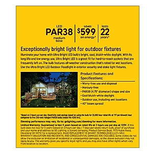 GE Lighting GE Ultra Bright LED Light Bulbs, Outdoor Floodlight Bulb, Wet Rated, Daylight (2 Pack) 93129227