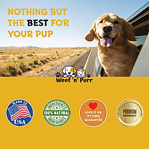 Natural Itch Relief for Dogs - Dog Itch Relief - Helps to Naturally Reduce Itching, Scratching, & More - Allergy Relief for Dogs Itching - Dog Itching Skin Relief - 1 fl oz - Bacon Flavor