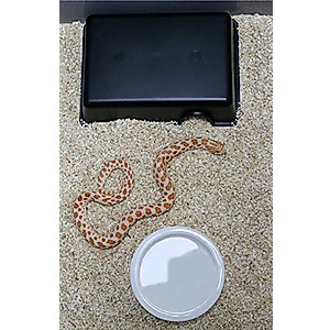 OMEM Reptile Hideout Box, Hideout Caves, Small Animal Hideaway (M)