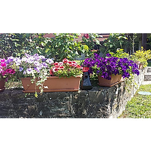 INZECTO Mosquito Trap - Device to Effectively Attract Mosquitoes and Kill Larvae - Revolutionary Outdoor Mosquito Solution Simply Activated by Water (1 Trap)