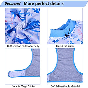 PetWarm Post Spay Dog Suit Female,Dog Surgery Suit,Cone of Shame Alternatives Bodysuit for Abdominal Wounds Skin Disease, Dog Bodysuit for Small Medium Large Dogs,Marine Animal Patterns,Blue,XS