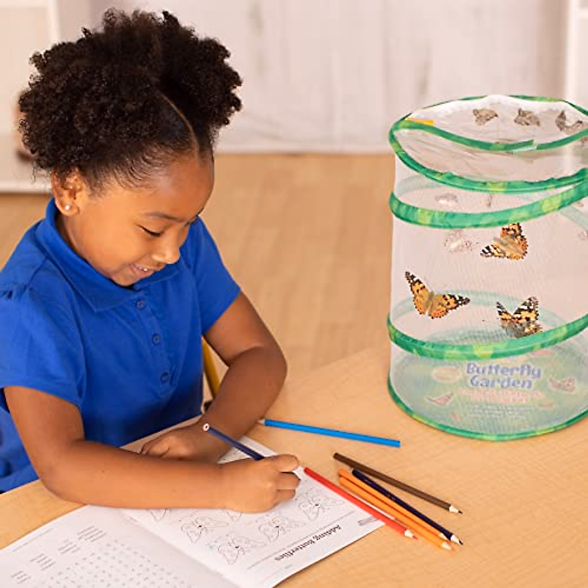 Butterfly Garden: Original Habitat and Live Cup of Caterpillars with STEM Butterfly Journal – Life Science & STEM Education – Butterfly Science Kit