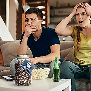 Pilot Knob Comforts Blue Bounty Gourmet Popcorn Kernels for Popcorn Machines, Microwave and Air Popper Popcorn Maker – Non-GMO, Fresh Heirloom Hull-Less Popcorn Seeds, Gift Set – 3 Jars (32 Oz Each)