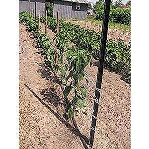 IRRIGATION-MART 6300FT Tomato Tying Garden Twine