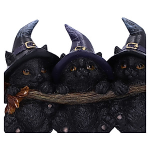 Nemesis Now Witches Helpers Key Hanger 20cm, Black