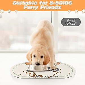 QDAN Waterproof Dog Food Mat-Absorbent Mat for Dog and Cat Bowls, 19"x12"Dog Mat for Food and Water, Pet Mats for Floor Waterproof - Dog Water Bowl Mat for Messy Drinkers