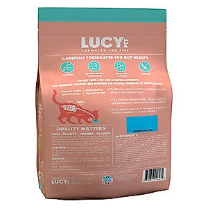 Lucy Pet Cat Salmon, Pumpkin, & Quinoa 10lb