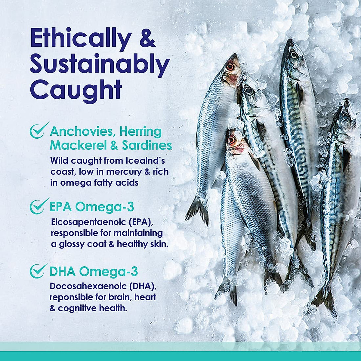 Pure Omega 3 Fish Oil for Dogs, Wild Caught from Iceland, Skin and Coat Supplement for Shedding, Dry Itchy Skin and Allergies, Rich in EPA + DHA with Omega 3, 6 & 9 Fatty Acids, 1000mg, 180 Capsules