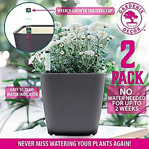 GARDENIX DECOR 5" Self Watering pots for Indoor Plants - Flower Pot with Water Level Indicator for Plants, Grow Tracking Tool - Self Watering Planter Plant Pot – 2 Pack Gray