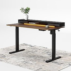 FEZIBO 55 × 26 Inch Electric Standing Desk with Monitor Stand, Height Adjustable Table with LED Strips, Ergonomic Home Office Furniture with 2 Drawers Storage Gaming Workstation, Black Walnut Top