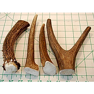 Premium Deer Antler Pieces - Dog Chews - Antlers by The Pound, One Pound - Six Inches or Longer - Medium, Large and XL - Happy Dog Guarantee!