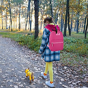 Trailmaker Classic 17 Inch Backpack with Adjustable Padded Shoulder Straps (Pink)