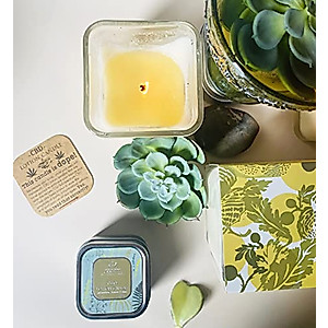 Creative Energy Candle - 2-in-1 Soy Lotion Candle (Citrus Basil & Wild Mint)