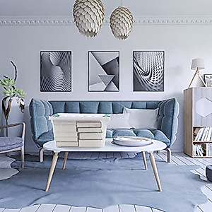 Bblina 20 Quarts Clear Latching Storage Boxes with lids, Plastic Storage Box Bins Set of 6