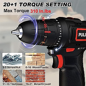 PULITUO Cordless Drill/Driver Kit, Power drill Set with 35N.m Torque, 20+1 Clutch, 3/8" Keyless Chuck, 2-Variable Speed-12V Electric Drill Driver for Wood Bricks Walls Metal