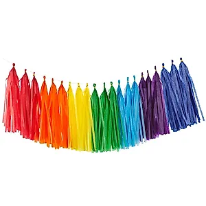 35Pcs Rainbow Tassel Garland Tissue Paper Tassel Banner Decoration for Wedding, Baby Shower,Birthday, Group Activities and Games