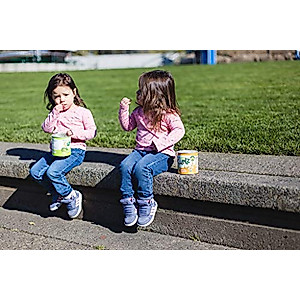 Sprout Organic Baby Food, Stage 4 Toddler Snacks, Broccoli Plant Power Curlz, 1.48 Ounce (Pack of 6)