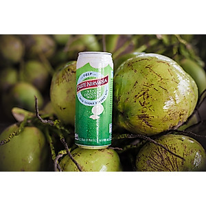 Taste Nirvana Real Coconut Water, Coco Pulp with Tender Coconut Bits, 16.2 Fl Oz (Pack of 12)