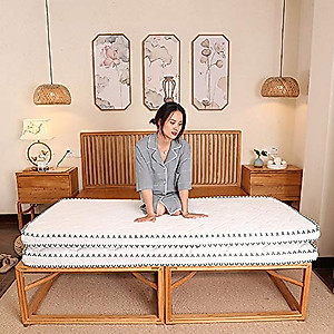 Hotel Thicken Folding Mattress, 3e Coconut Palm Mattress Pad Orthopedic Coir Sleeping Mat Firm Feel Quiet Tatami Guest Bed-8cm Twin