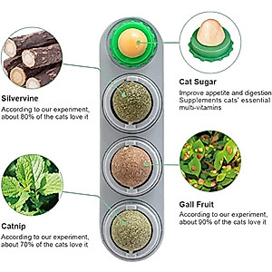 Cayse Cat Toys, 4 Natural Silvervine Catnip Balls, Edible Catnip Wall Toys, Safe Healthy Kitty Toys for Cats Lick, Kitten Chew Toys, Teeth Cleaning Dental Cat Ball Toy, Catnip Wall Treats