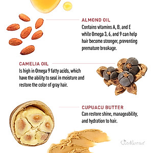 Color Care Conditioner | Best Conditioner for Color Treated Hair | Refreshes For Vibrant Color