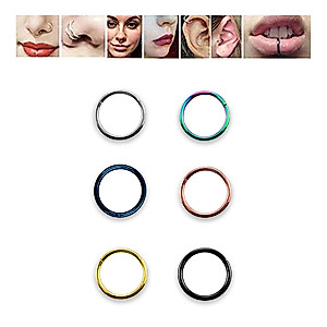 TOPBRIGHT 6 Pcs a Set Seamless Septum Rings Clicker 16G Stainless Steel Hinged Segment Rings for Daith and Lip Piercing (8mm)…