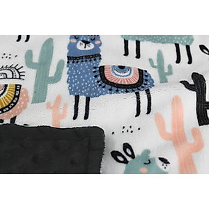 Baby Car Seat Canopy Cover - Emperor Llamas with Black Minky Dot