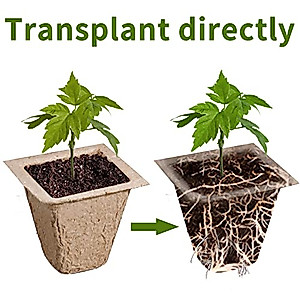 SYITCUN 100 Cells Seedling Starter Trays,10 Pack Starter Trays for Planting Seeds,Biodegradable Seed Starter Peat Pots,Bonus 100 Plant Labels,2 Transplanting Tools,1 Spray Bottle