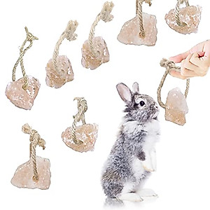 Himalayan Small Pets Lick Salt Block on Rope Natural Small Animal Mineral Salt Block Chew Toys with Hanging Rope Rabbit Mineral Salt Chew Treat Supplies for Bunny Chinchilla Hamster Ferret (8PCS)