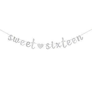 Silver Glitter Sweet Sixteen Banner - Happy 16th Birthday Banner - 16th Birthday Party Decorations for Girls - Sixteen Years Old Decorations