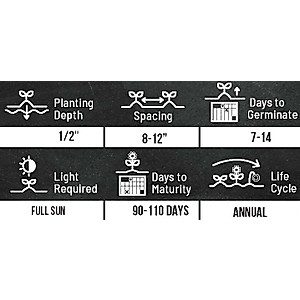 Sunflower Seeds for Planting - Grow Red Velvet Queen Sun Flowers in Your Garden - 25 Non GMO Heirloom Seeds - Full Planting Instructions for Easy to Grow - Great Gardening Gifts (1 Packet)