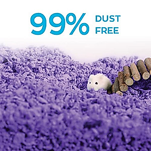 carefresh 99% Dust-Free Purple Natural Paper Small Pet Bedding with Odor Control, 23 L