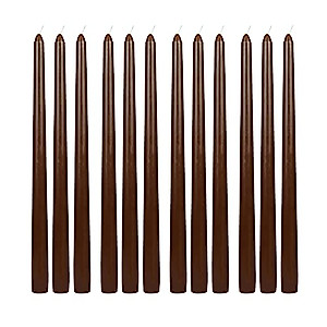 Zest Candle 12-Piece Taper Candles, 12-Inch, Brown