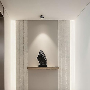 YAOWSZM 2Pack Modern Flush Mount Ceiling Lights 6W LED Dimmable Ceiling Light Fixture Gray Cylindrical Ceiling Spotlight for Living Room Hallway Kitchen