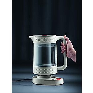 Bodum 11659-913US Bistro Electric Water Kettle, double Wall with Temperature Control, 1L, 37 oz, White