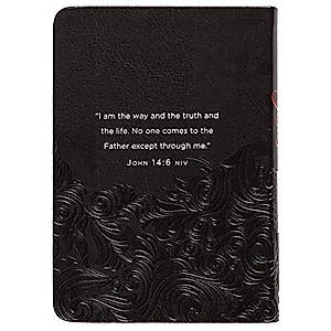 Jesus in Red: 365 Meditations on the Words of Jesus (Imitation Leather) – Daily Motivational Devotions for All Ages, Authored by Ray Comfort, Perfect ... Family, Birthdays, Holidays, and More.